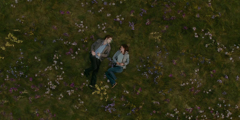 The Vampire Covens in Twilights, Explained