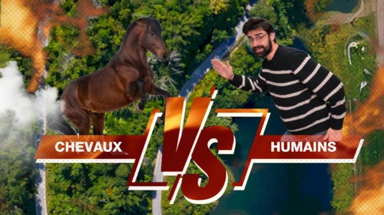 L’humain peut-il dépasser un cheval au galop ? On a comparé et la ...