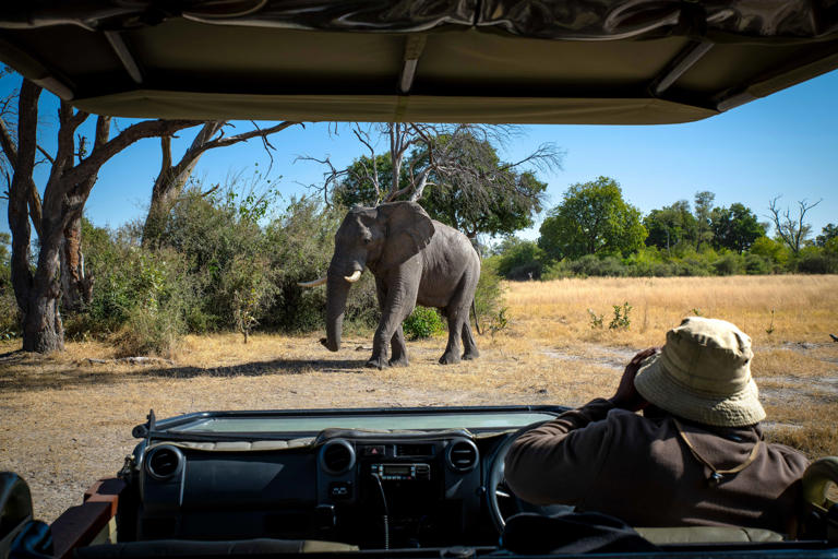 The Best New Safari Camps of 2025