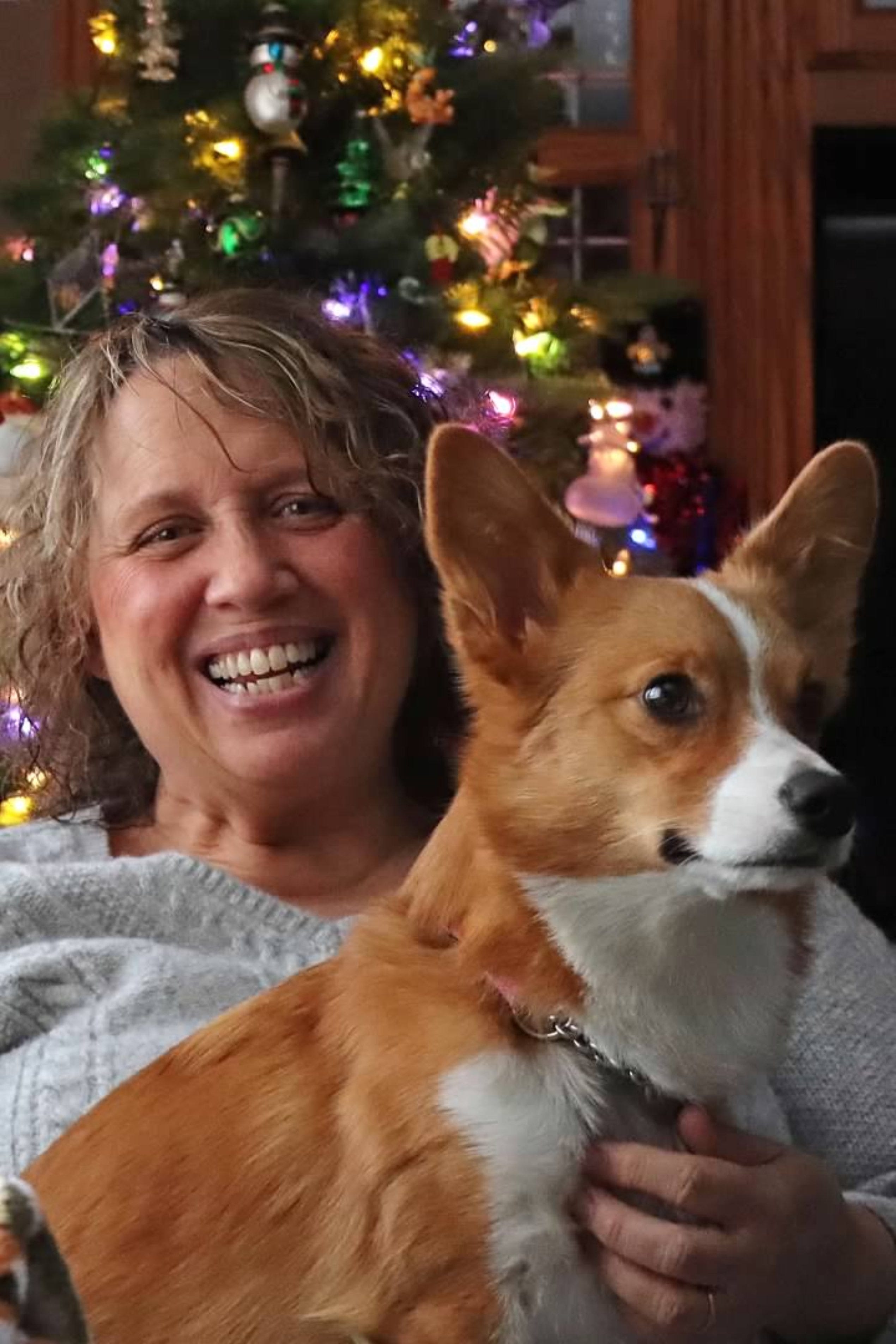 MarionMade!: Nancy Carey's energetic Corgi makes name for itself on ...