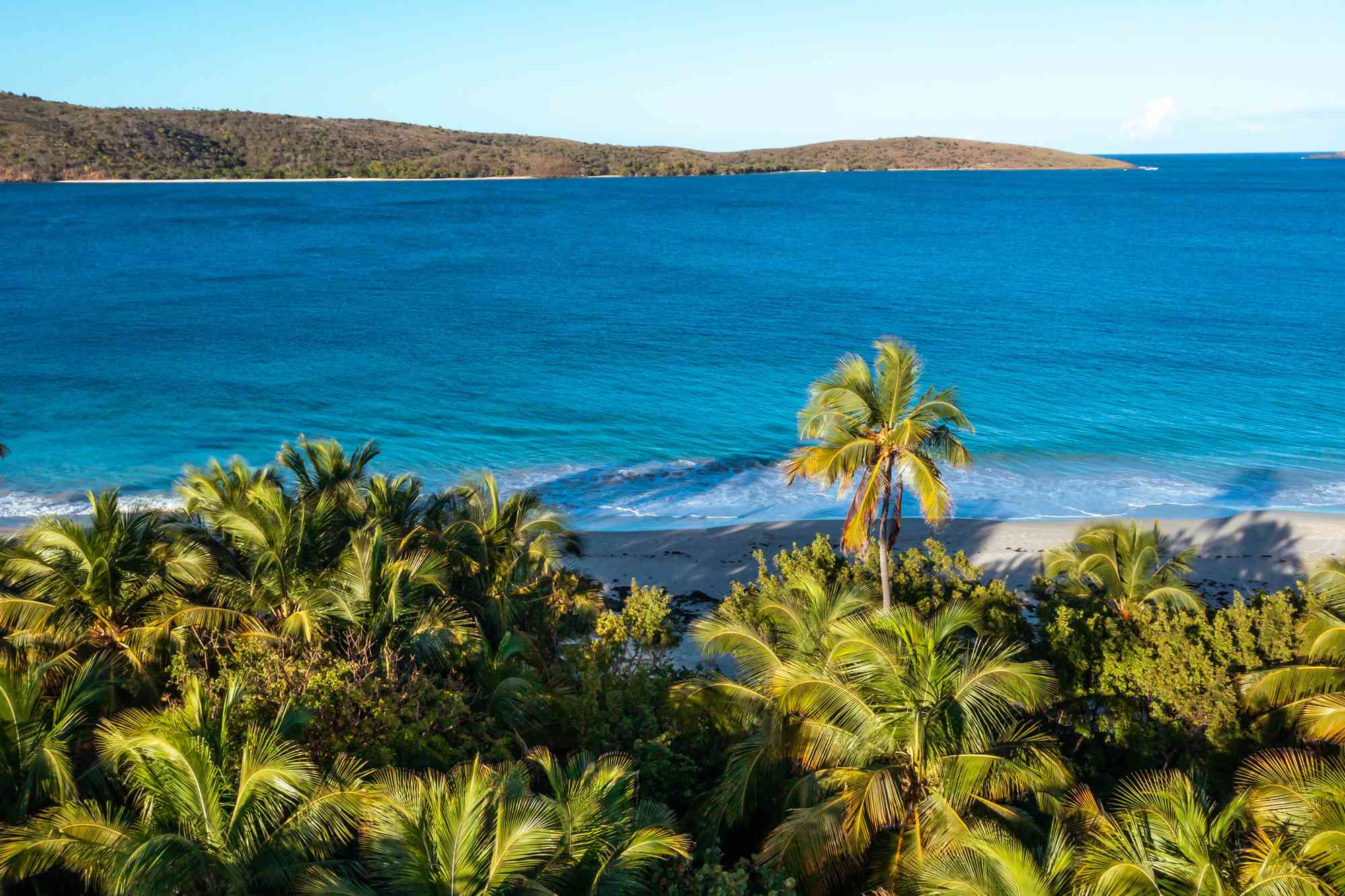 This Tiny Caribbean Island Off the Coast of Puerto Rico Is Home to One ...