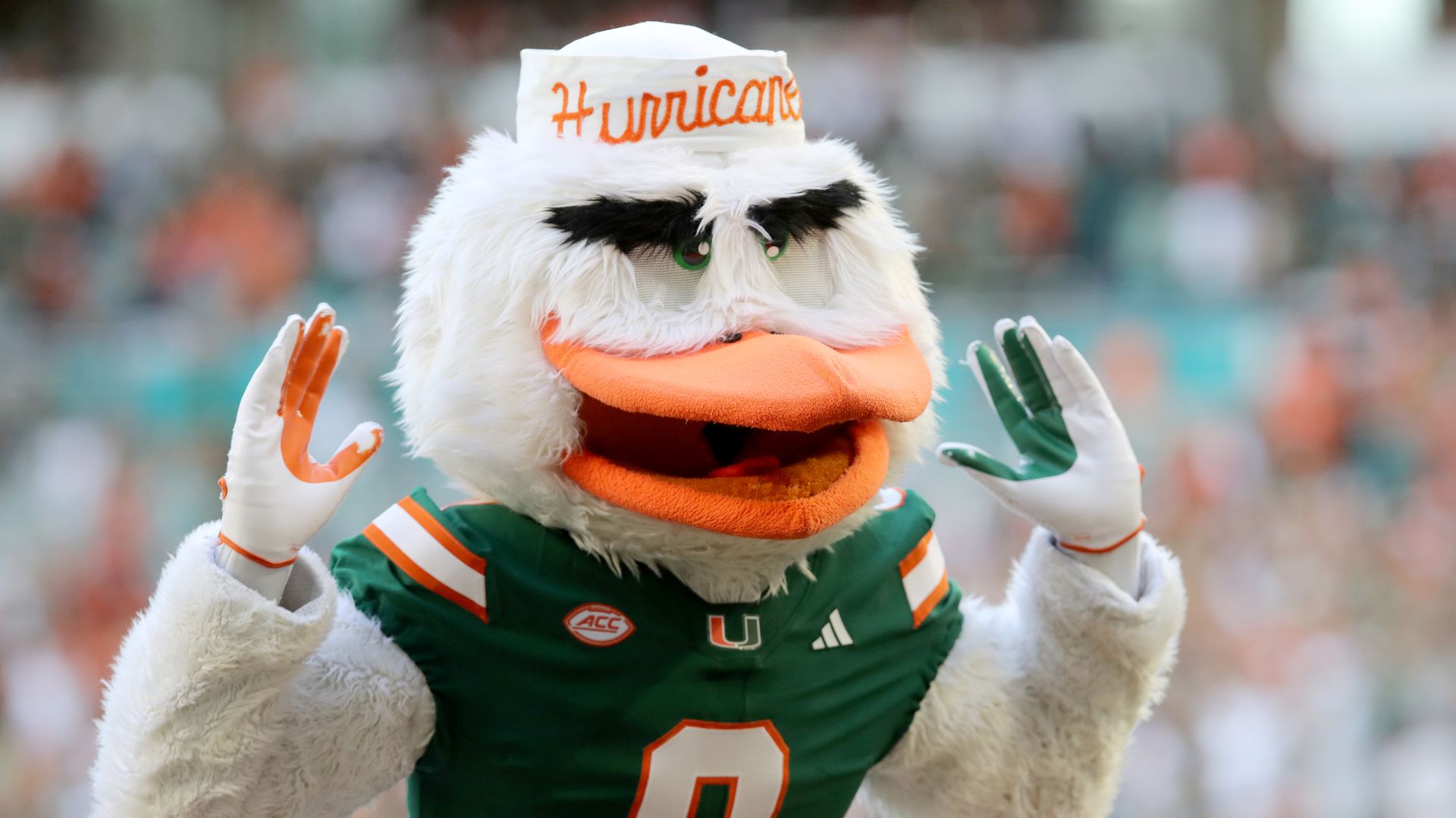 Key Performance Indicators of Winning and Losing Football Games