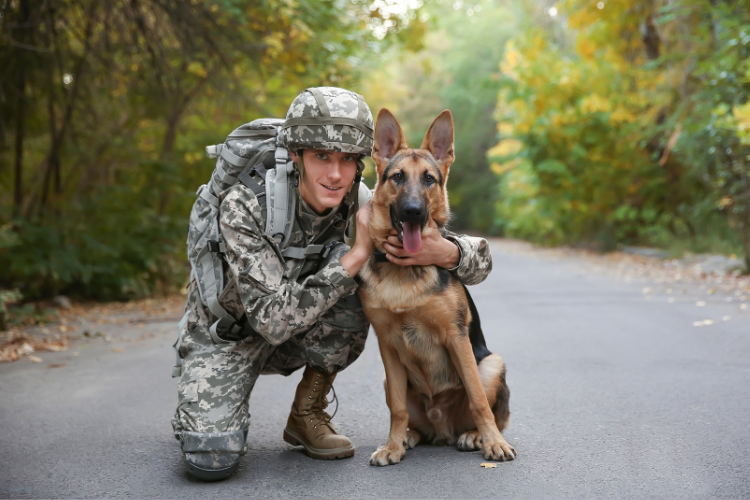 Iconic Dogs That Became Famous Worldwide: Some You May Know