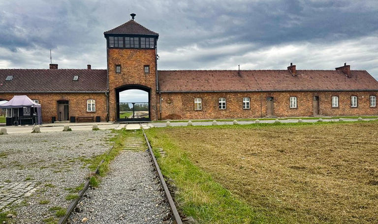 Auschwitz Museum prepares for 80th anniversary of liberation as number ...