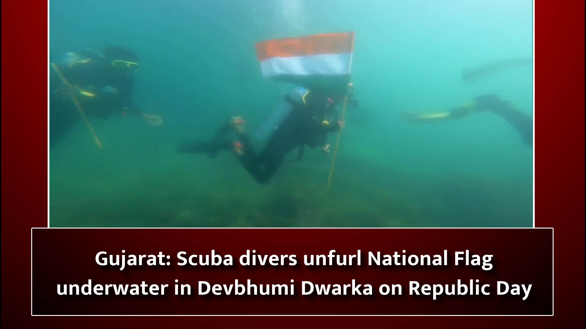 Gujarat: Scuba divers unfurl National Flag underwater in Devbhumi Dwarka on Republic Day
