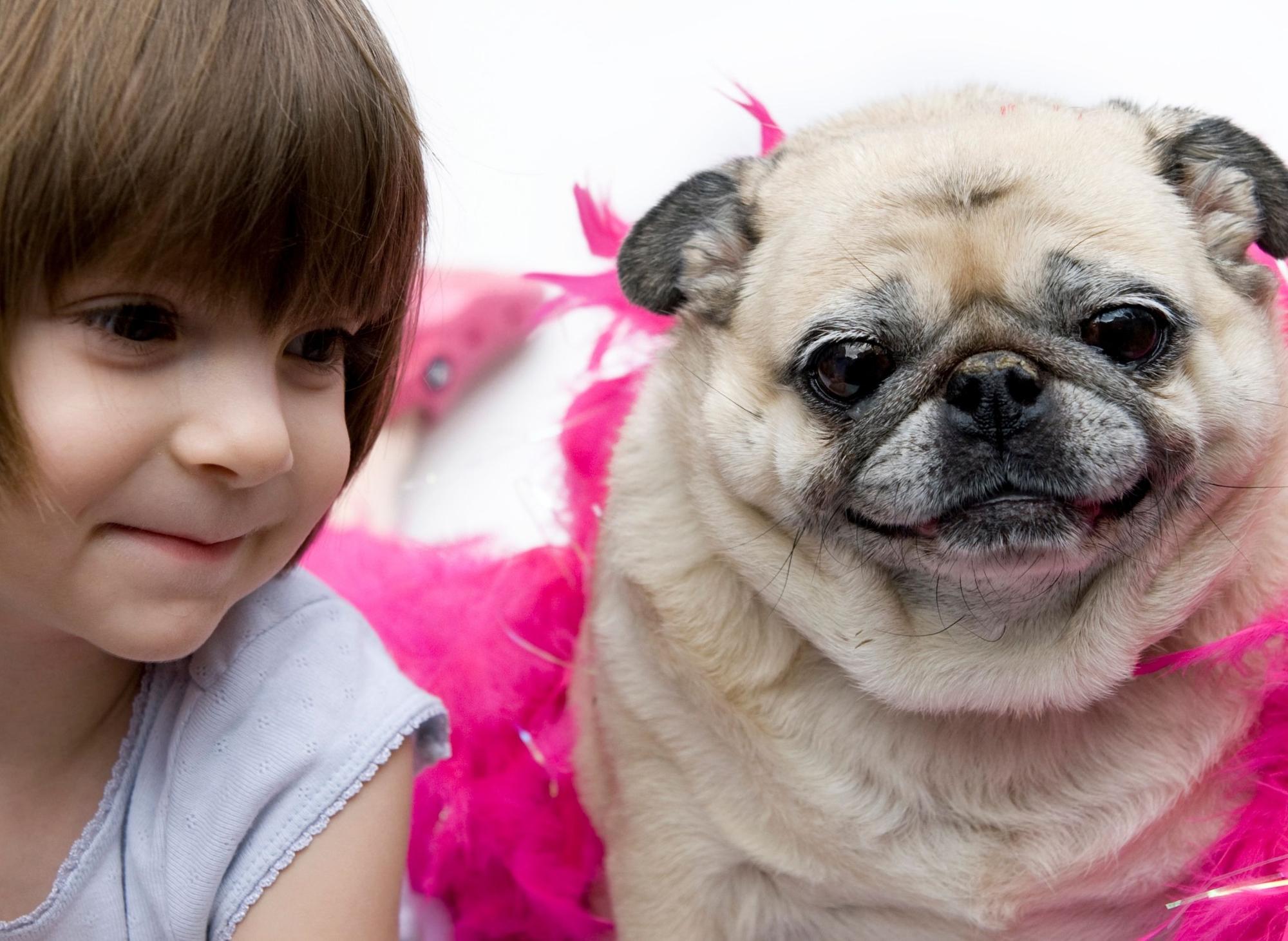 Child Friendly Dogs: These are 10 great breeds of adorable dog for ...