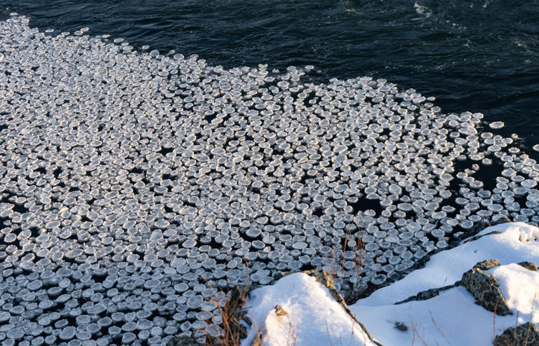 How pancake ice formed on the Potomac River near Great Falls, Virginia