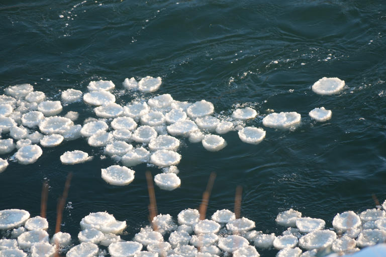 How pancake ice formed on the Potomac River near Great Falls, Virginia