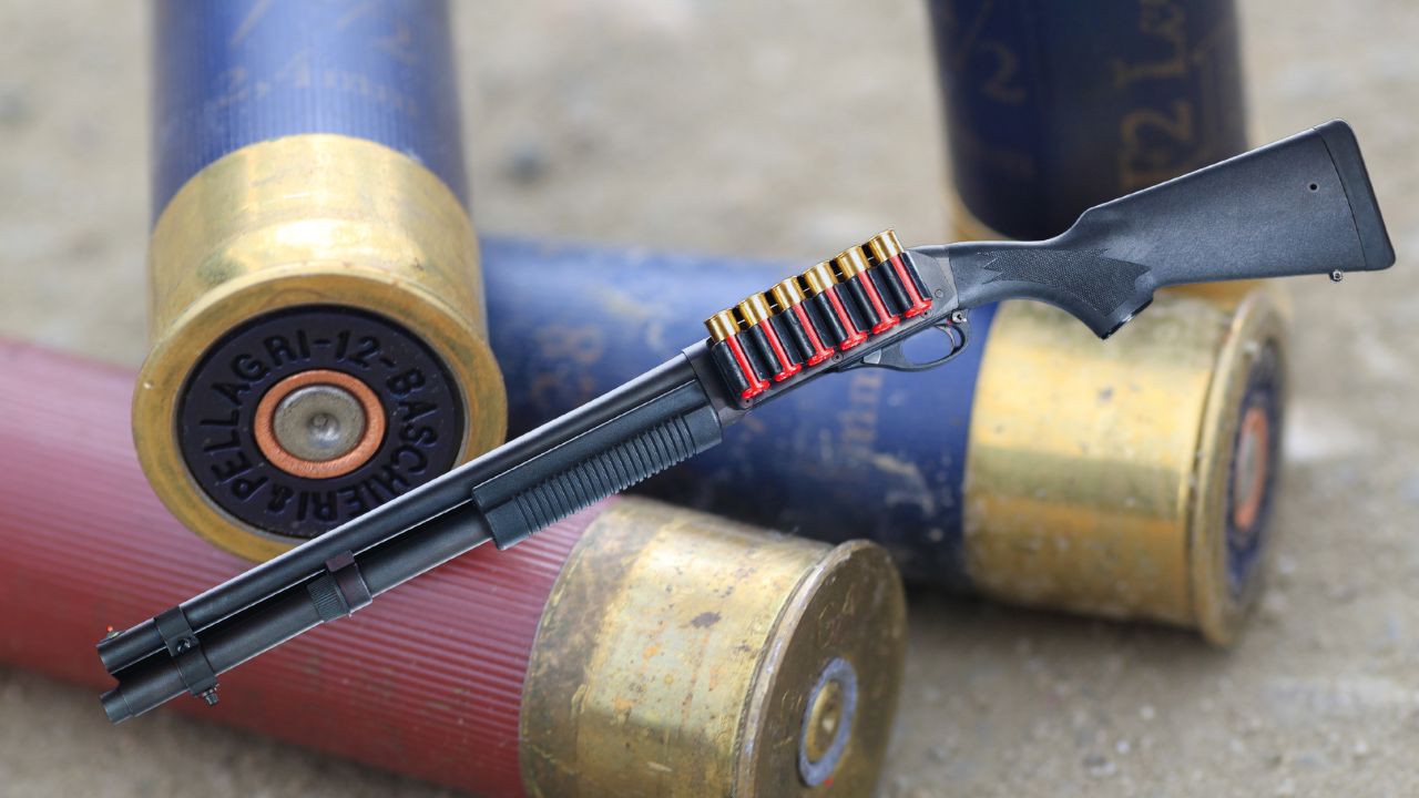 Shotgun Myths Busted: What’s the Real Distance for Birdshot, Buckshot ...