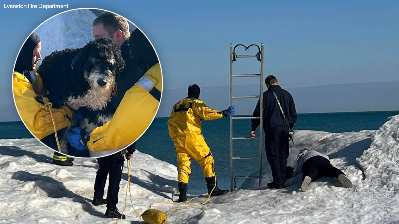 2 dogs rescued from ice shelf in Evanston