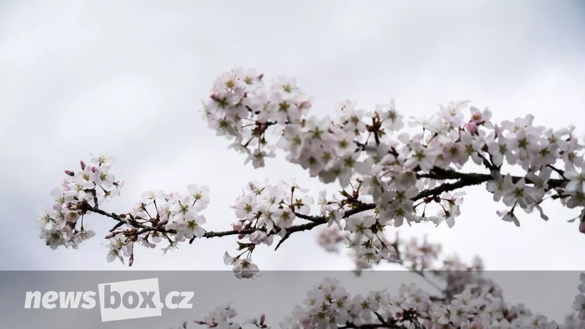 Počasí o víkendu: Léto zatím nedorazí, bude typicky jarní