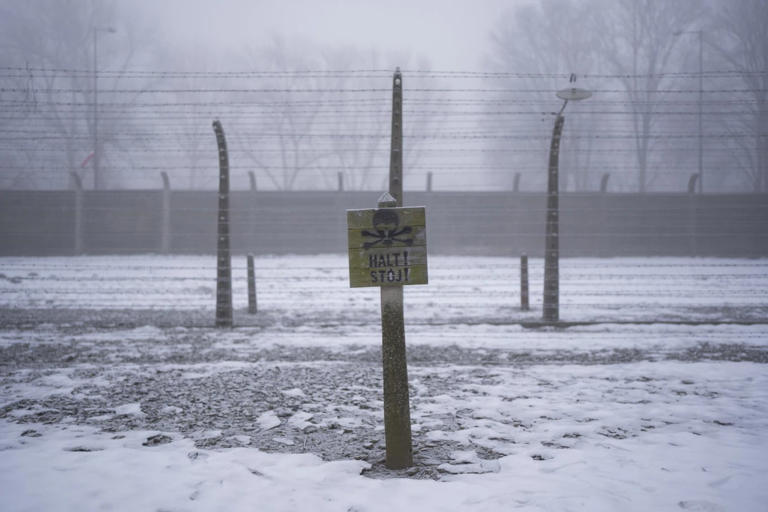 Auschwitz was liberated 80 years ago. The spotlight is on survivors as ...