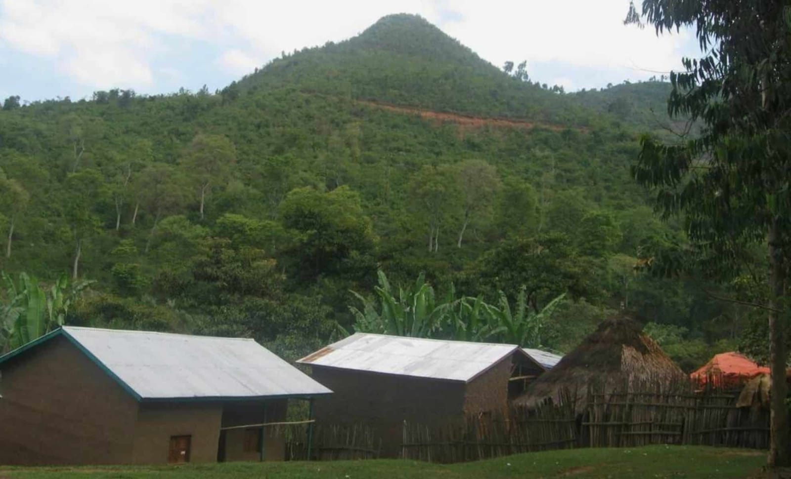 Kept in Captivity for 20 Years, This 4-Foot Predator Is Now a Newly ...