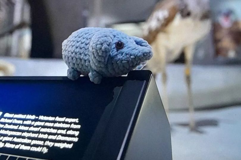 Couple's plea to help find sentimental toy lost during trip to Edinburgh