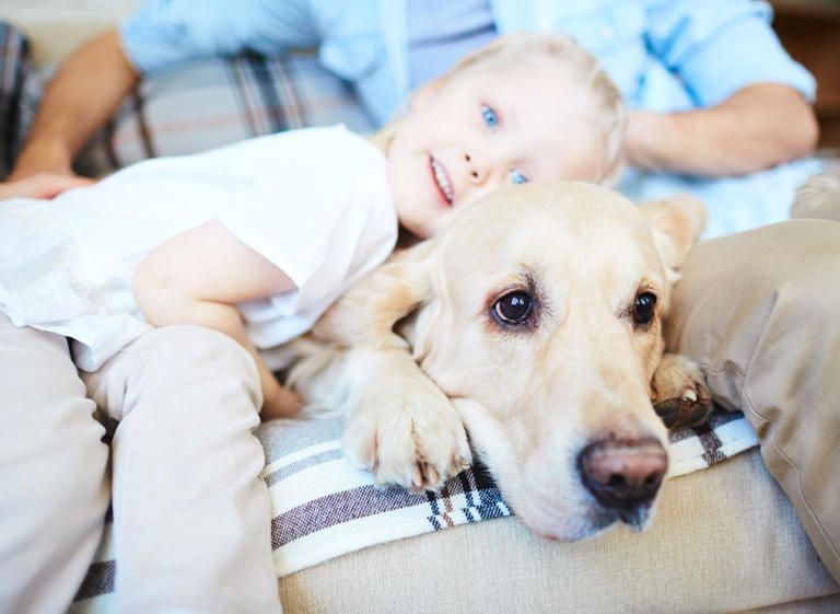 Child Friendly Dogs: These are 10 great breeds of adorable dog for ...