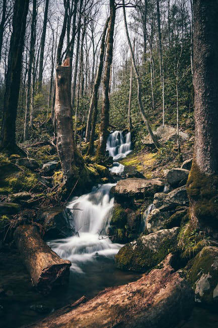 Top U.S. National Parks for a Serene Couple’s Getaway Top U.S. National Parks for a Serene Couple’s Getaway