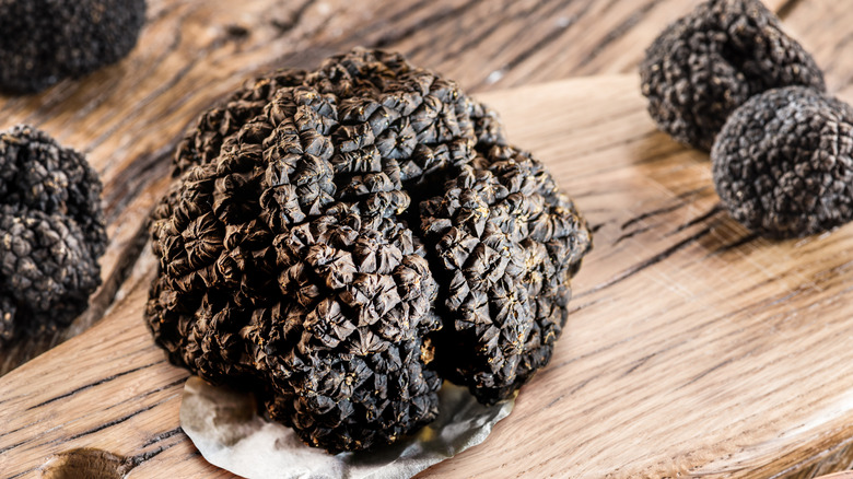 False Truffles Vs Real: What You Need To Know