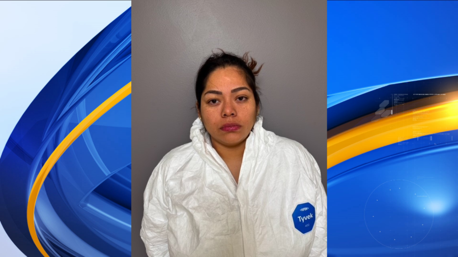 Woman charged with boyfriend’s murder after stabbing in Decatur