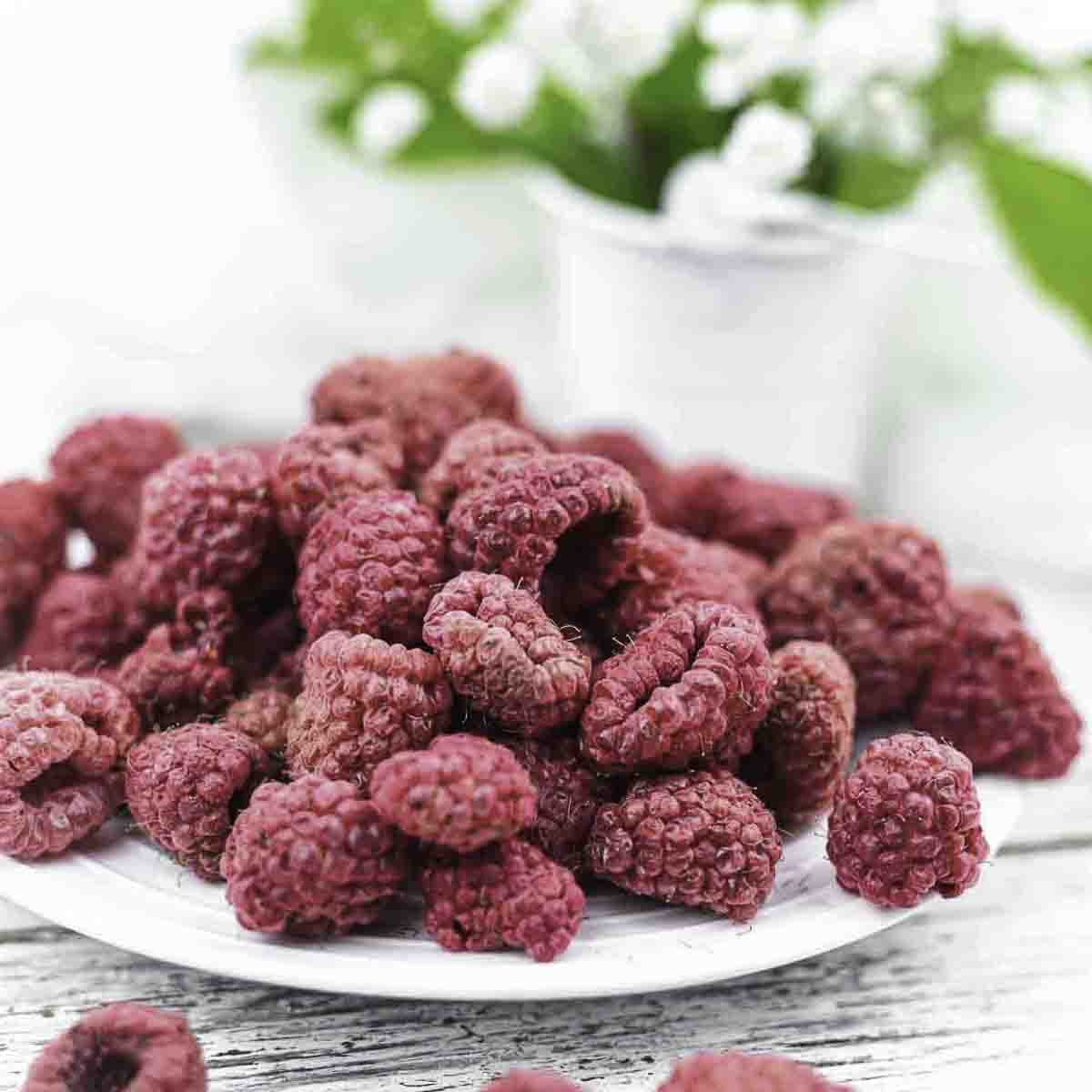 How To Dry Raspberries