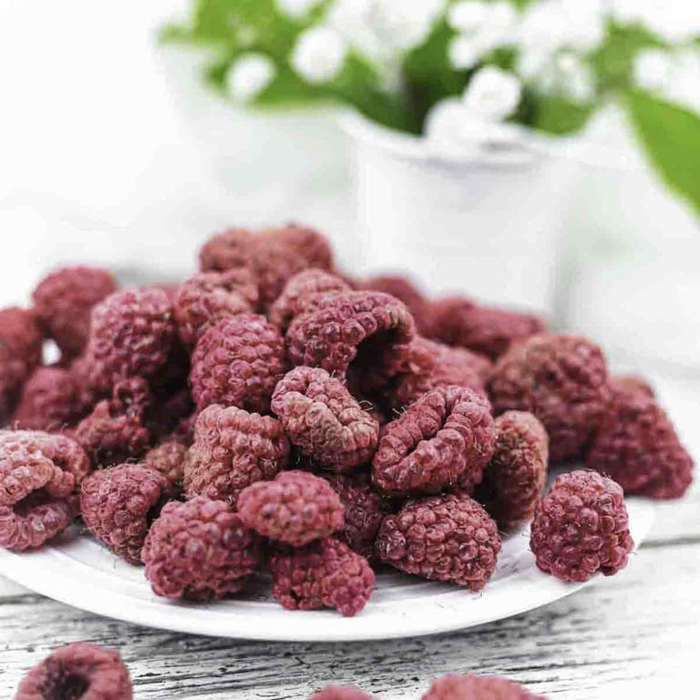 How To Dry Raspberries