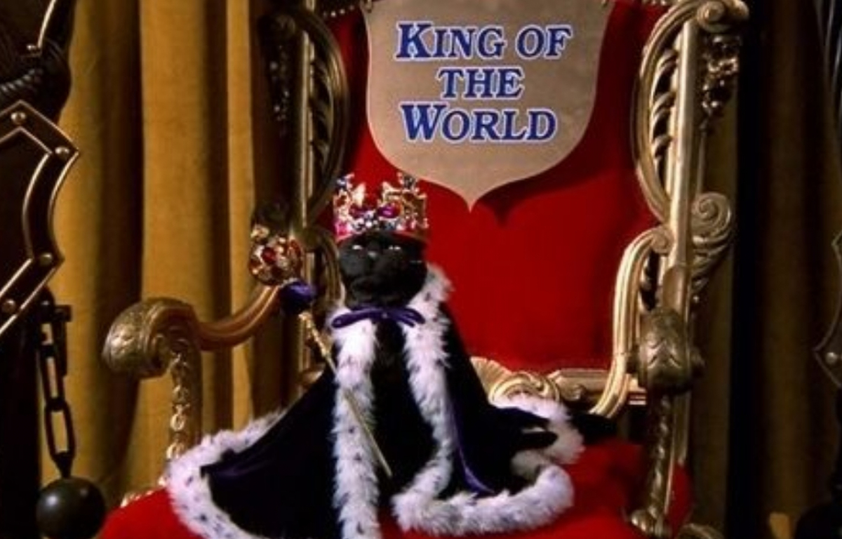 25 On-Screen Animals That Became Cultural Icons
