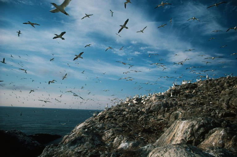 The islands that belong to Wales and their fascinating secrets