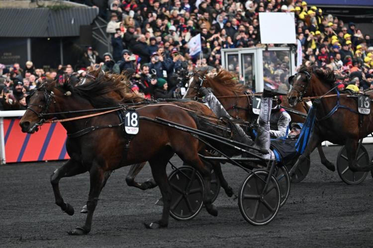 Prix d’Amérique 2025. Combien va gagner l’entourage d’Idao de Tillard ...