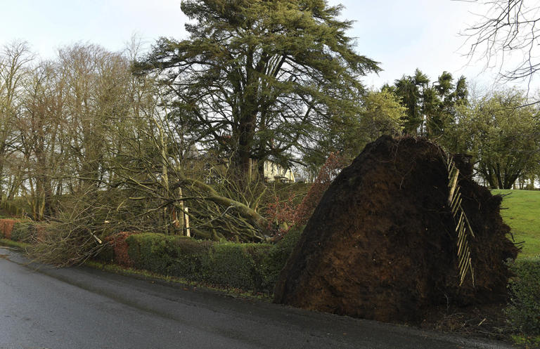 Thousands in Ireland still without power after Storm Éowyn, as more ...