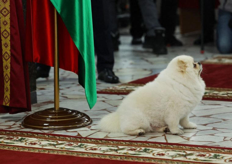 Putin ally Lukashenko to extend 3-decade rule in sham elections