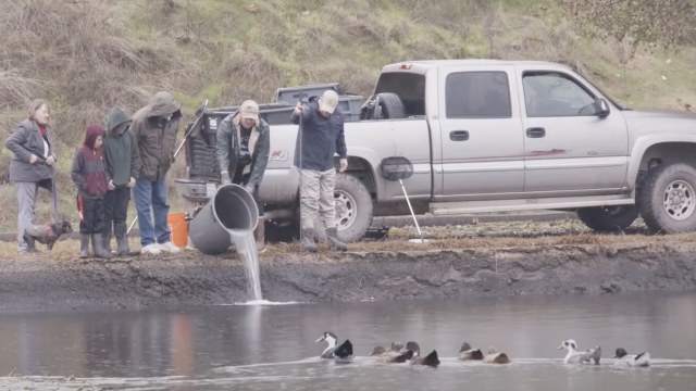 State officials release thousands of critical fish species after 50 ...