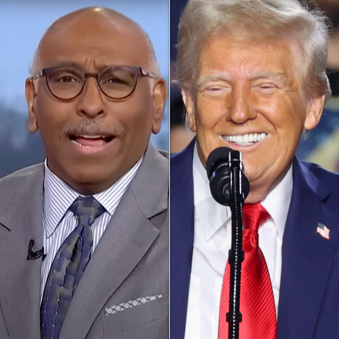 ‘They’re Not At The Gate Anymore’: Michael Steele Issues Most Chilling ...
