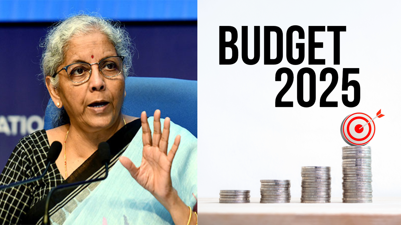 Budget 2025: What Tax Reforms Do Economists Propose For Salary Earners?