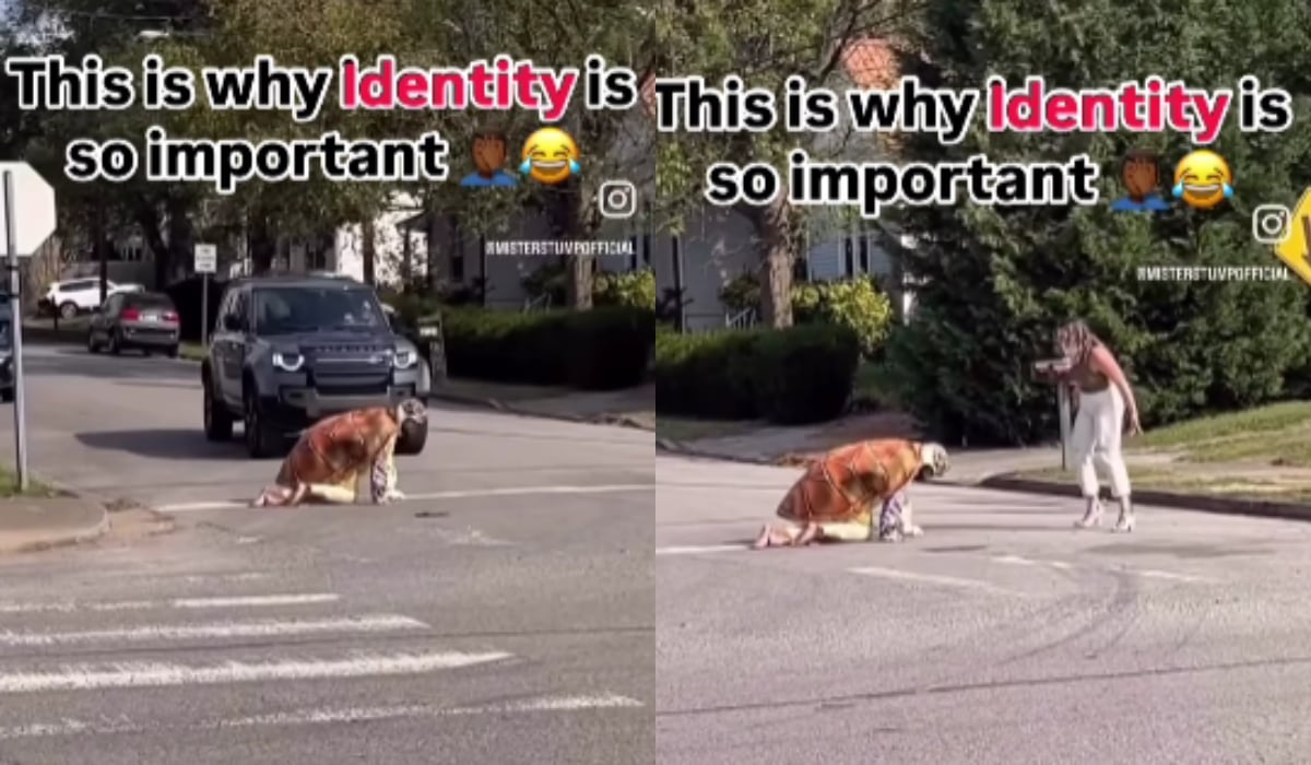 Persona se identifica como tortuga y detiene el tráfico al caminar por ...