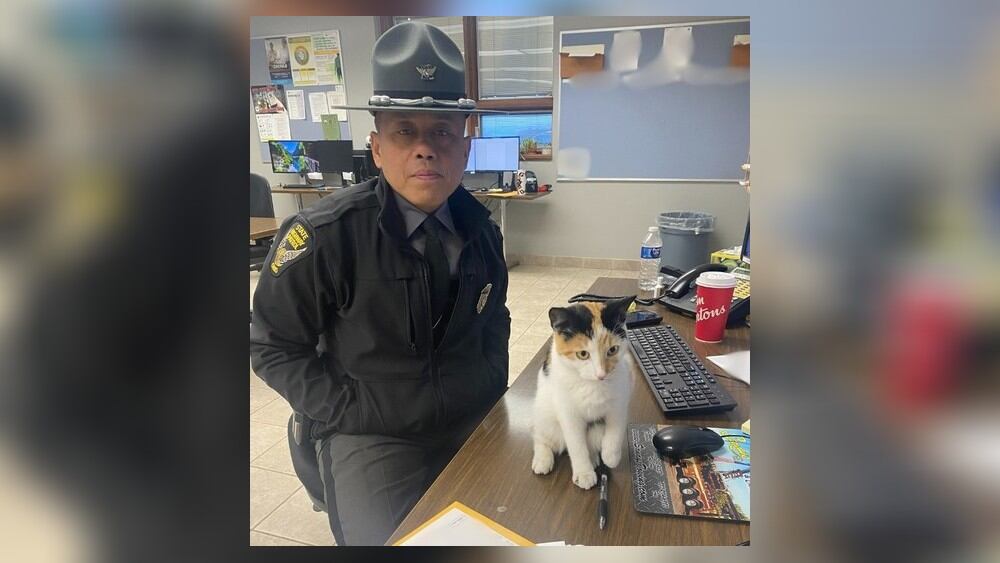 ‘Puurfect Rescue;’ State trooper saves stranded cat on I-75
