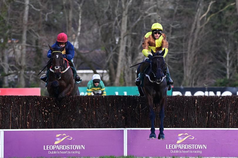 Watch live horse racing for free* with Racing TV -worth over €40