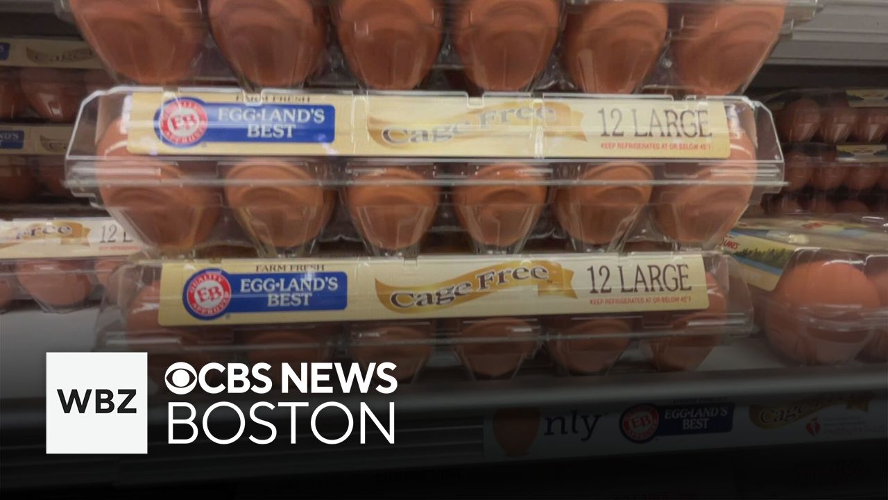 Bird flu and inflation could continue to drive up the cost of eggs ...