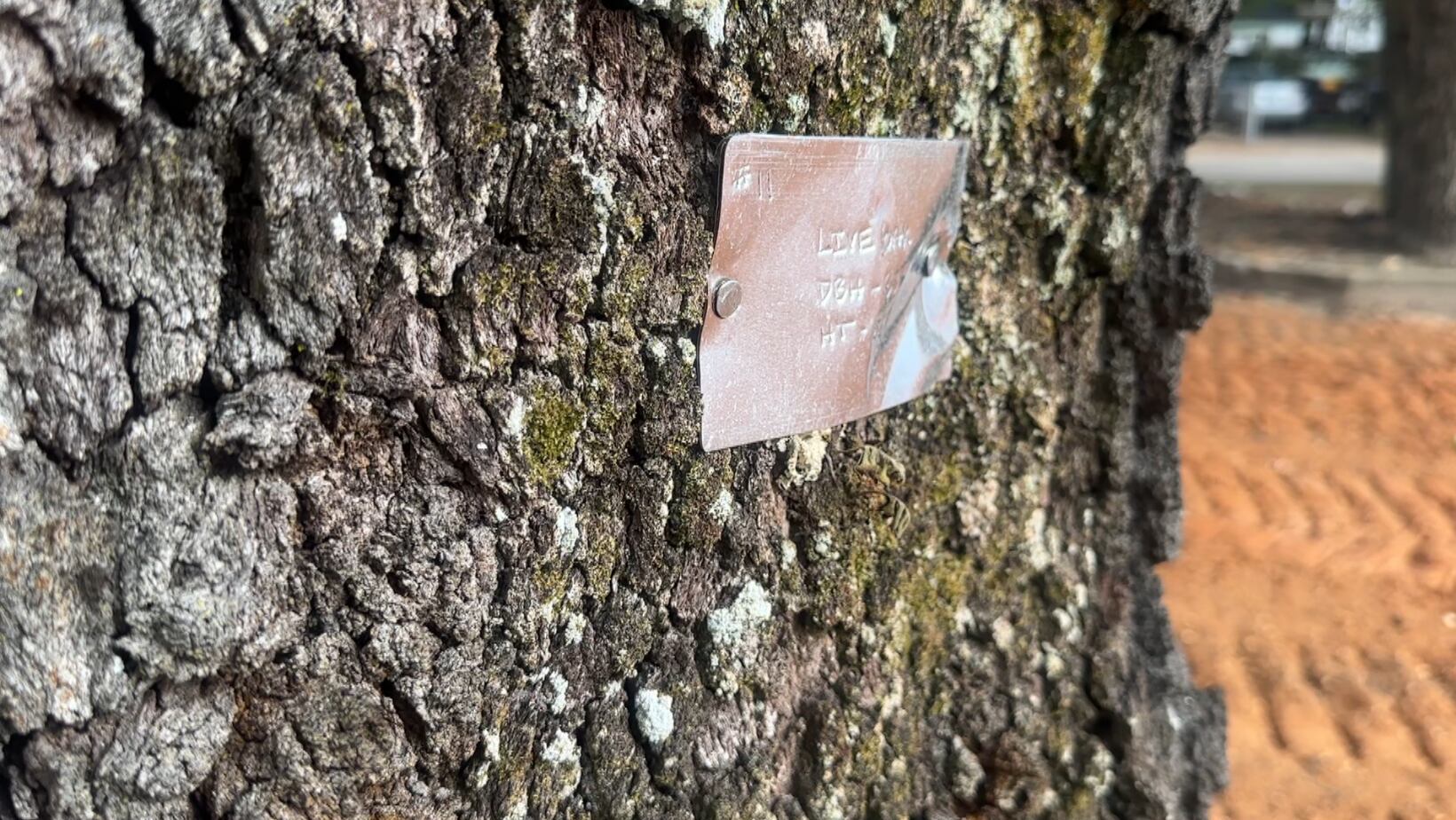 Construction of Chick-fil-A in Biloxi could be delayed due to appeal of ...