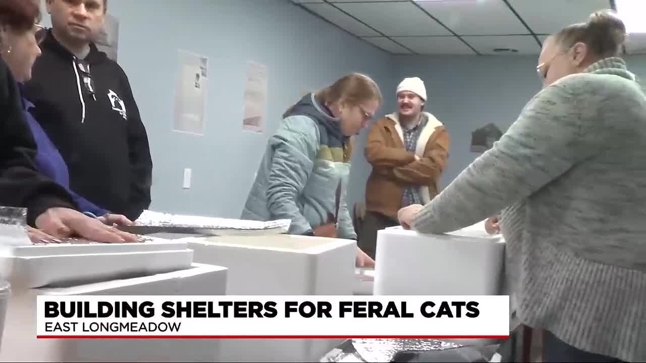 TJO holds Building Shelters for Feral Cats workshop