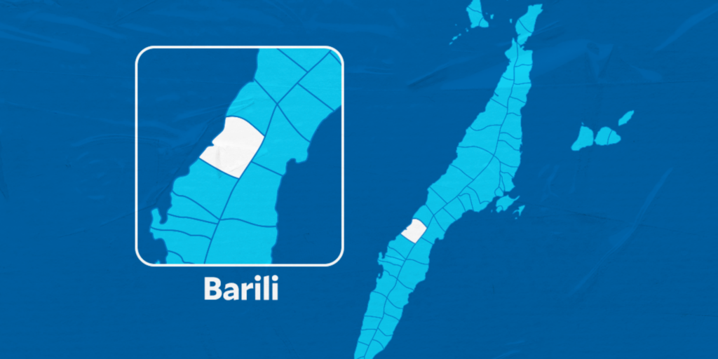 Typhoid hits 18 people in Barili town, Cebu