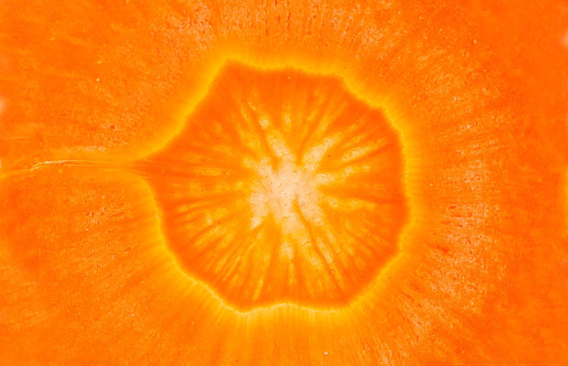 How many of these zoomed-in foods can you guess?