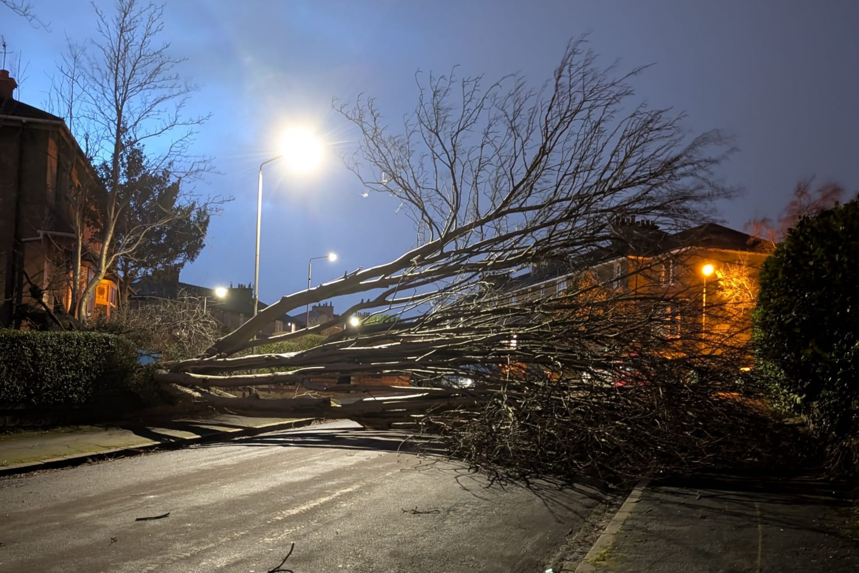 Storm Eowyn Aftermath: Here are 20 dramatic pictures of trees blown ...