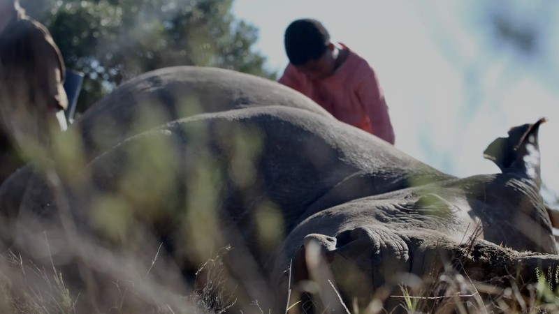 Minister Dion George celebrates Oscar-nominated ‘The Last Ranger’ for ...