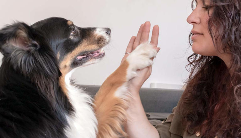 6 Reasons Why in Home Training Works