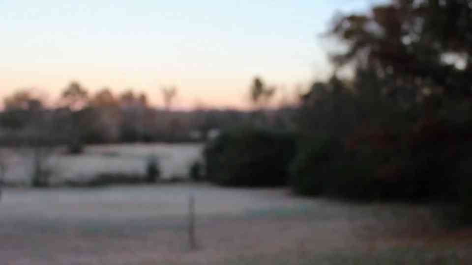 Bad Actor ~ Jewel Thief!