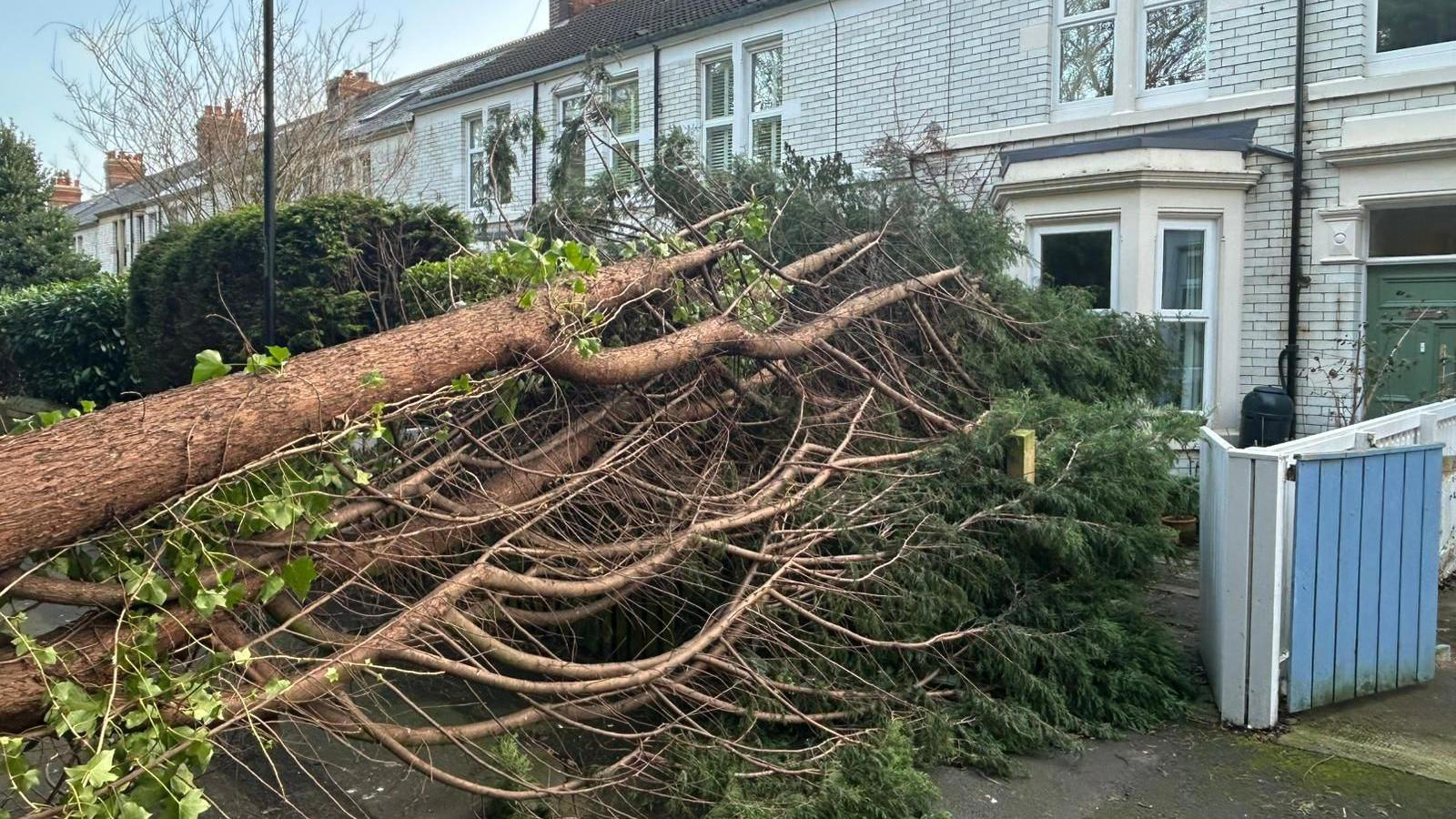 Thousands still without power after Storm Éowyn Thousands still without power after Storm Éowyn