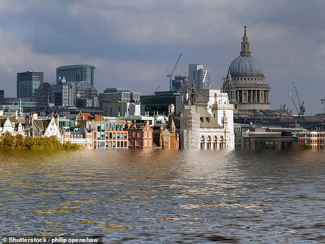 The cities that will be 'submerged by global warming'