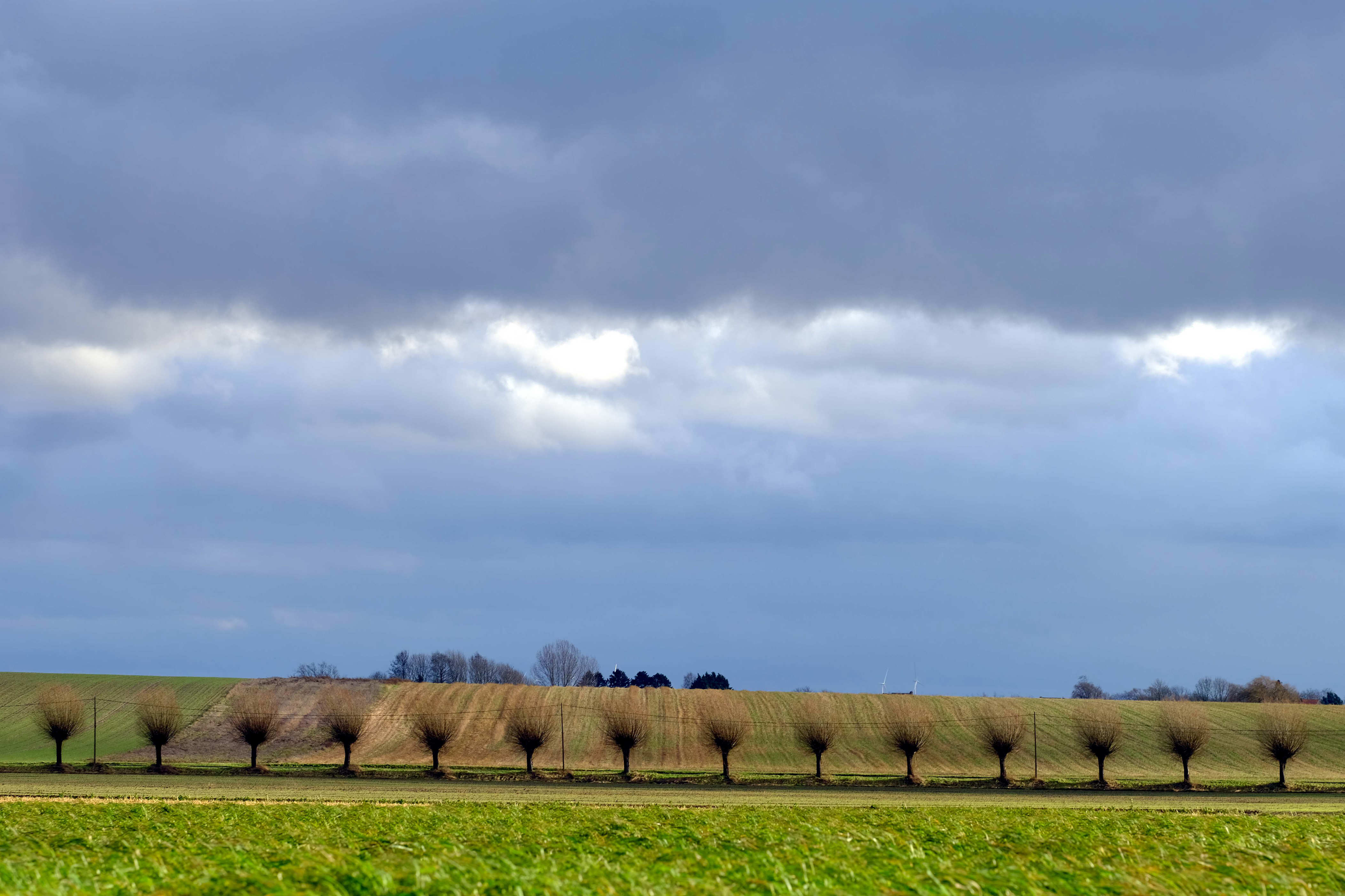 Weerbericht - Overwegend droog maar winderig