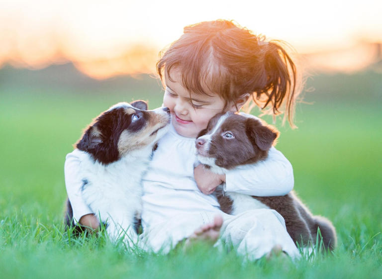 Family Friendly Dogs For 2025: These are the 10 best breeds of adorable ...