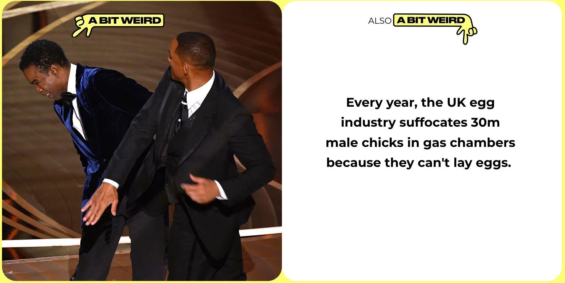 Animal welfare charity uses humour to highlight animal suffering