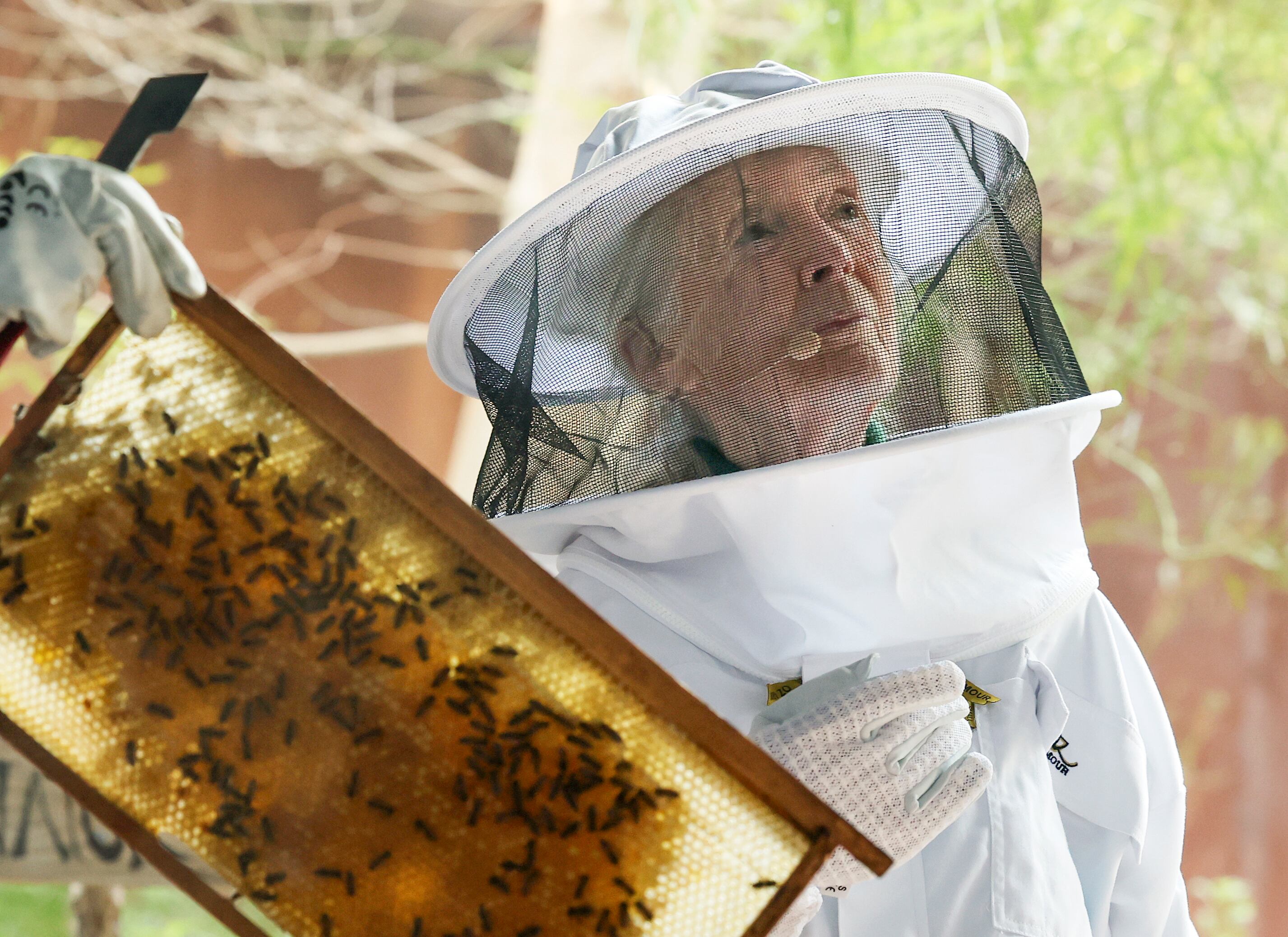Jane Goodall opens bee sanctuary named in her honour at Expo City Dubai